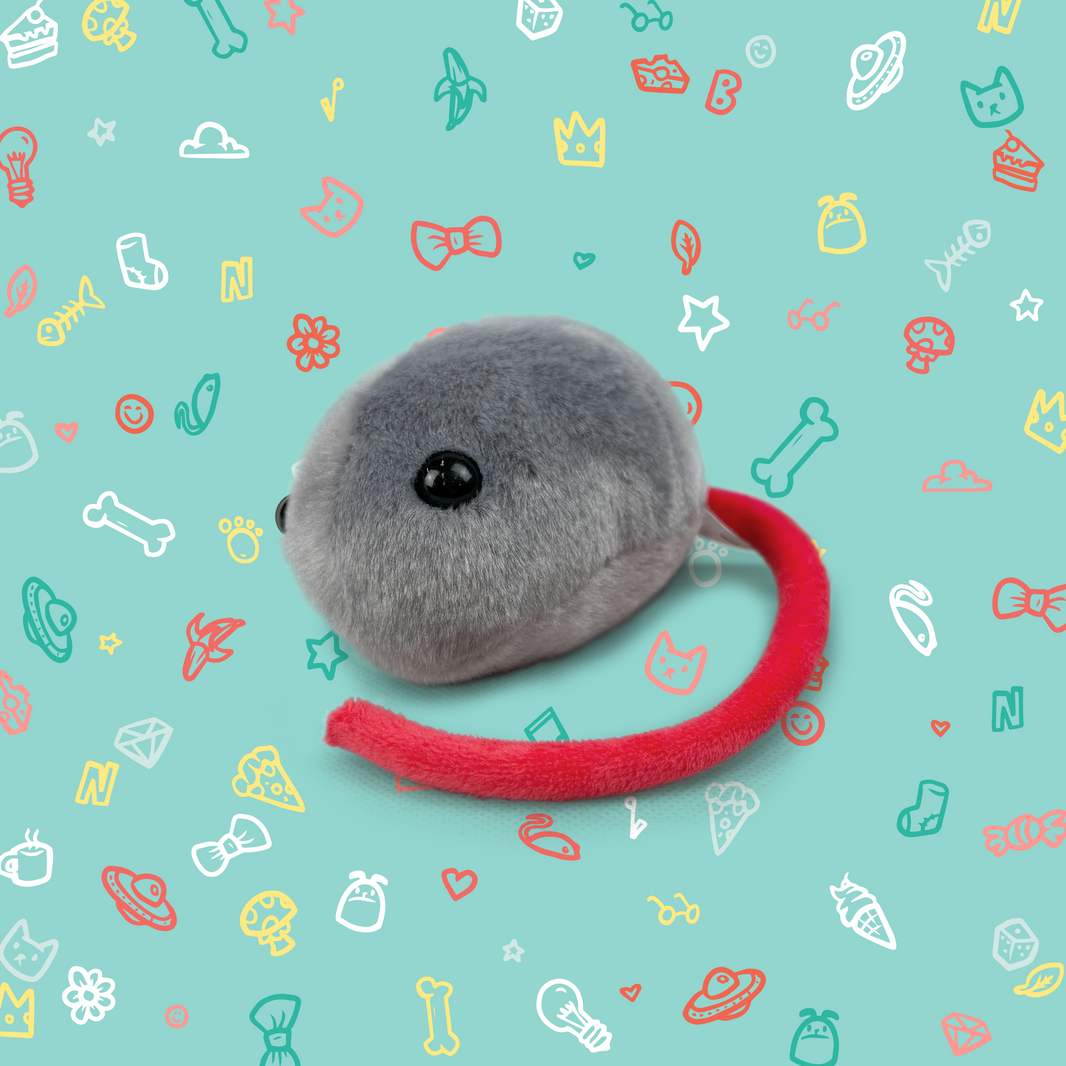 Tienda online oficial de Noodle and Bun